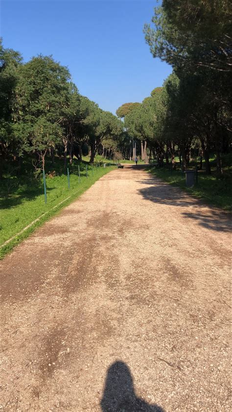 Mahmoud Qassem On Linkedin Selfcare Simplejoys