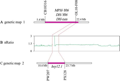 Breeding Signature Of Combining Ability Improvement Revealed By A Genomic Variation Map From