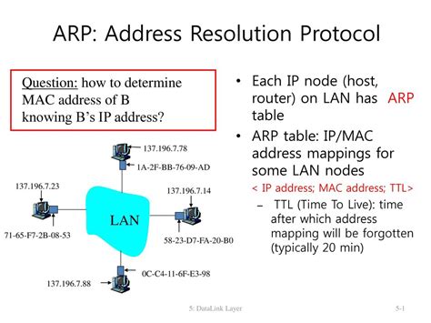 Ttl Arp Table