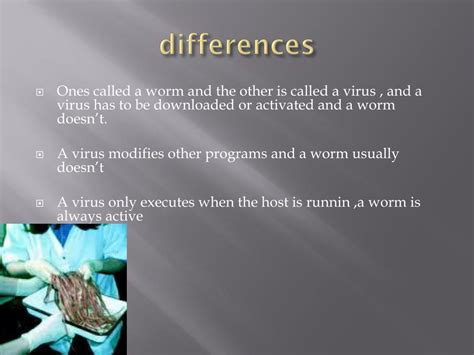 PPT Worms And Viruses PowerPoint Presentation Free Download ID 2097725