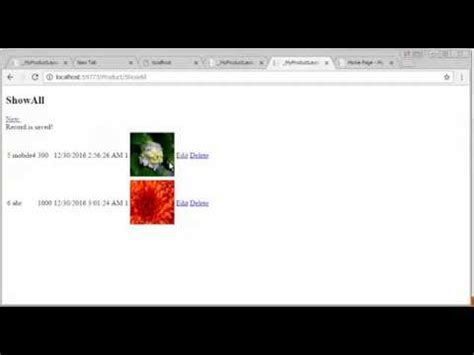 Develop A Small Project ASP NET MVC Urdu Hindi YouTube
