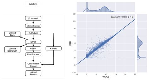 Rna Seq Pipeline