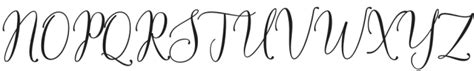 Flash Script Regular Otf Font Script Elegant What Font Is