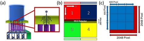 A Schematic Of The Scintillation Based Detector With The Incident Download Scientific Diagram