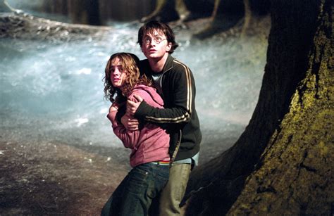 Why Harry And Hermione Should Have Ended Up Together PS Love