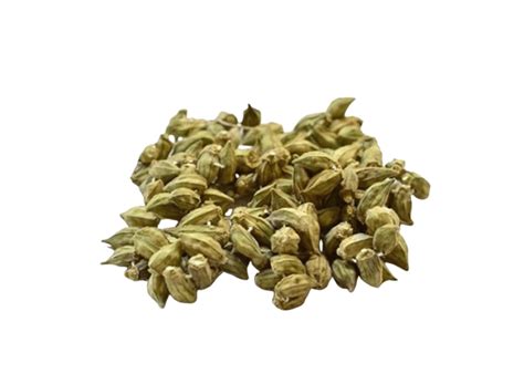 Bamya Kurusu Erbaa 100gr Nebyan Doğal Eski Tadında