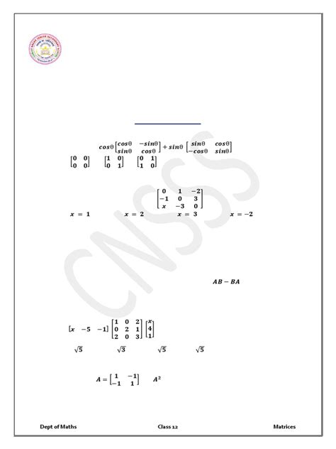Assignment Matrices Class 12 Cnsss Maths Pdf