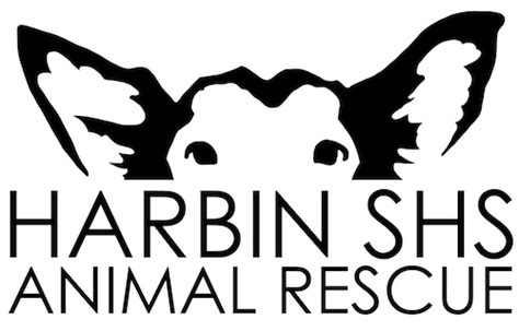 Donate Harbin Shs Animal Rescue Harbin Shs Animal Rescue Powered By