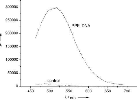 Figure 2 From Direct Synthesis Of An Oligonucleotide Polyphenylene