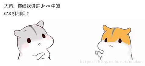 什么是 Cas 机制