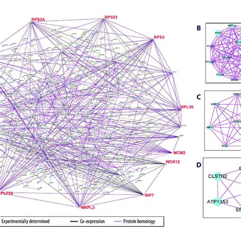 Module Analysis Of The Ppi Network For Degs Using Data Based On The