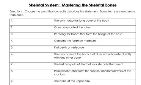 Skeletal System Mastering The Skeletal Bones Worksheet Anatomy Biology Teaching Resources
