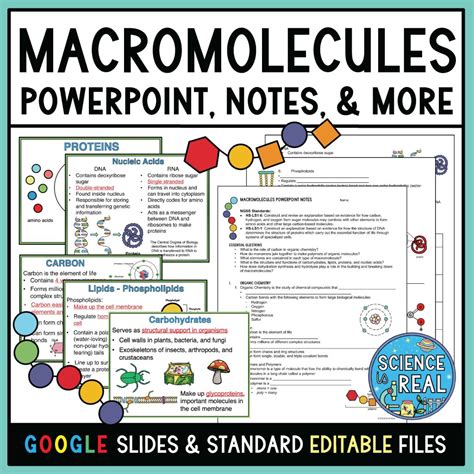Macromolecules Powerpoint With Notes Questions And Kahoot Science