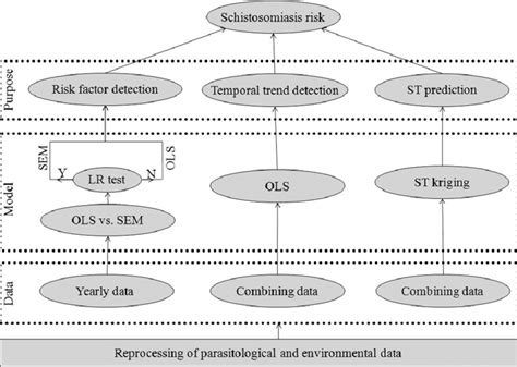 Workflow Of Data Analysis St Spatio Temporal Sem Spatial Error Download Scientific