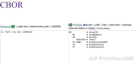 Cbor：比json高效的二进制格式，更好的messagepack 知乎