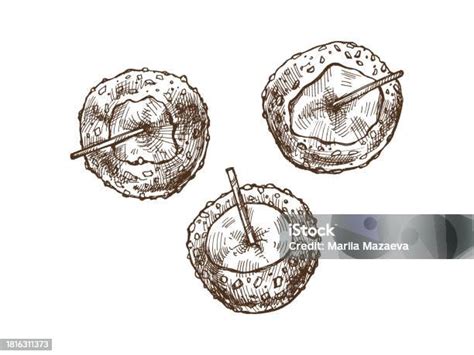 견과류 스프링클이 있는 Candy Taffy 사과의 손으로 그린 스케치 세트 벡터 음식 그리기입니다 전통적인 크리스마스 할로윈 디저트 포장 라벨 레시피 메뉴에 대한 그림