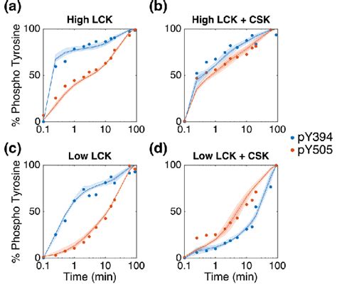 model fit to experimental data the model is able to fit experimental
