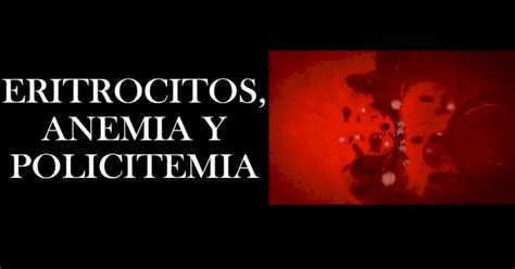 Eritrocitos Anemia Y Policitemia Formacion De Hemoglobina Succinil Coa Ciclo De Krebs