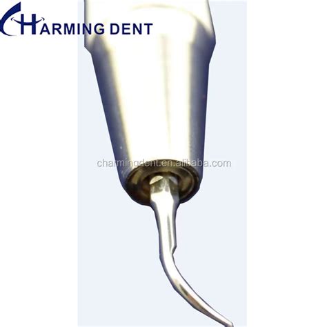 매력적인 치과 초음파 스케일러 Led Cavitron 치과 Piezo 스케일러 Ems 딱따구리 수의학 5 스케일링 팁 Buy 초음파 피에조 스케일러치과 스케일러