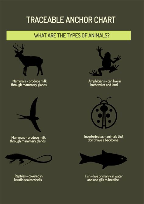 Free Traceable Anchor Chart Template To Edit Online