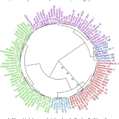 Hierarchical Cluster Analysis Based On The D Value Euclidean Distance Download Scientific