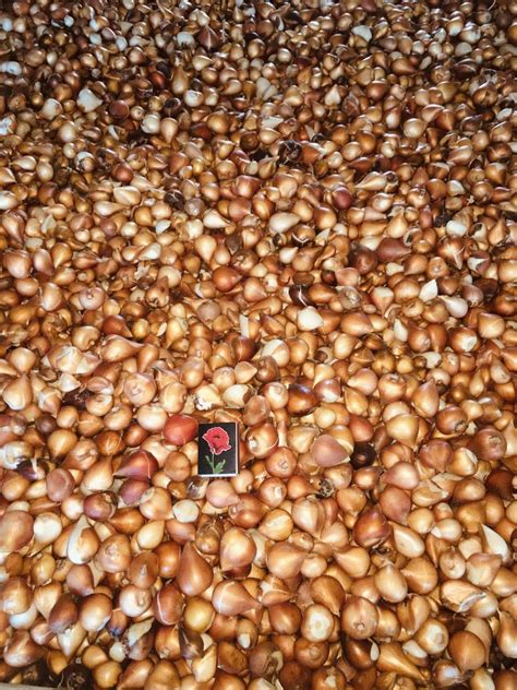 Фонд Ріната Ахметова 💛У рамках партнерства із проєктом ЯМаріуполь Фонд Ріната Ахметова передав