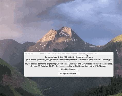 No Jfilechooser Documentsdesktopdownloads Access Prompt In Macos 10