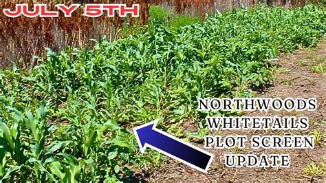 Heavy Duty Plot Screen Update Youtube