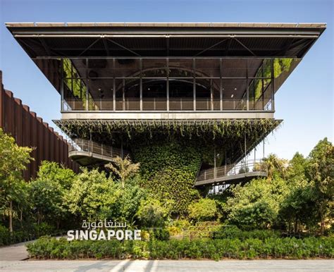 Rewilding The Sky With Salad Dressing Landscape Architects Archdaily