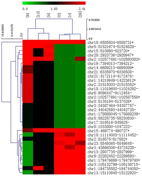 Heap Map For The 32 Significant Differentially Expressed Circrnas In