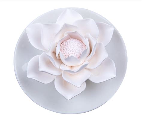 Lotus Flower Essential Oil Passive Diffuser Apothecary Shoppe