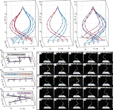 Ac Show The Soft Continuum Robot Simulation Configurations For “s