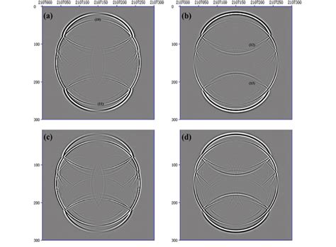 Wave Field Snapshot In A Poroelastic Media Saturated With Gas Oil And
