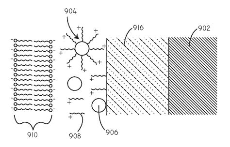 Delivery Of Hydrophobic Active Agents From Hydrophilic Polyether Block Amide Copolymer Surfaces