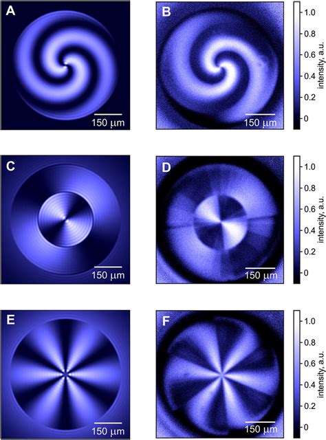 Calculated At 1550 Nm And Measured At 810 Nm Interference Patterns For Download Scientific