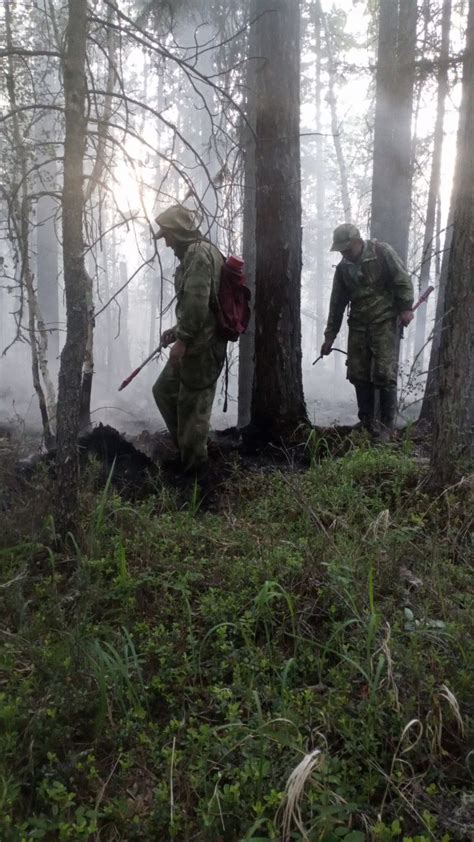 Лесной пожар №14 ликвидирован