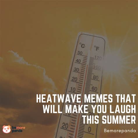 Heatwave Memes That Will Make You Laugh This Summer Heat Wave Jokes