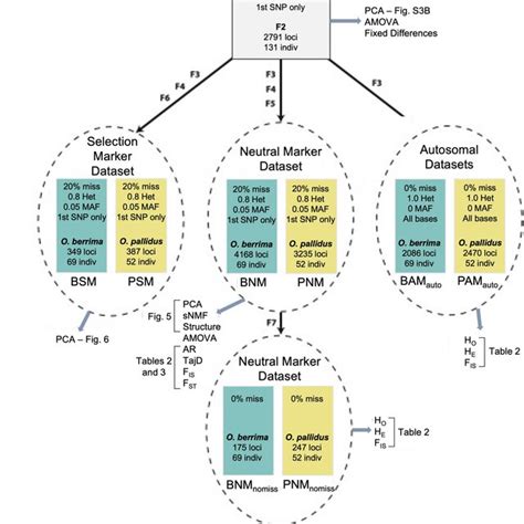 Schematic Of Filtering And Processing Steps For Nuclear Dataset Single