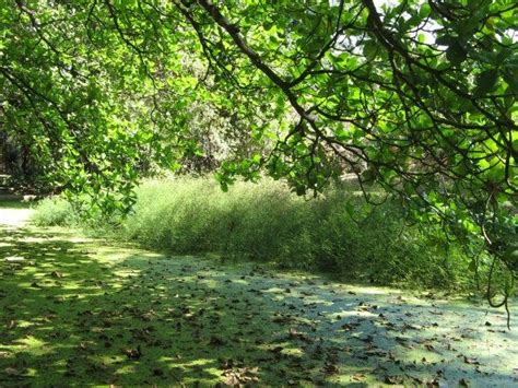 Build The Mobile Ecosystem Inter Connected Services For Your By