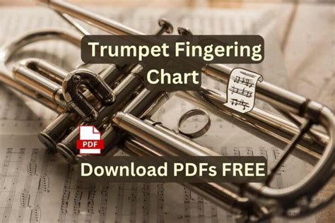 5 Flute Scales Major Minor Chromatic Pdfs And Best Tips