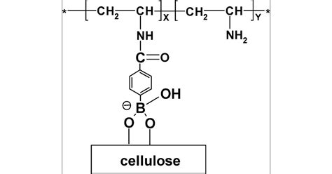 Polyvinylamine Boronate Adhesion To Cellulose Hydrogel Biomacromolecules