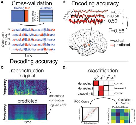 frontiers encoding and decoding models in cognitive electrophysiology