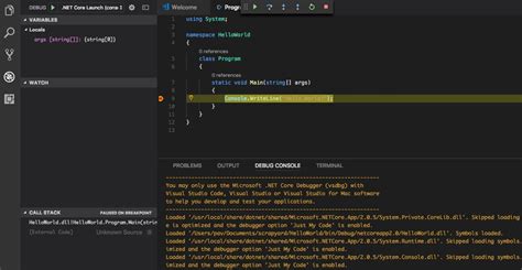 The Mystery Of Debug Adapter Process Has Terminated Unexpectedly Dots And Brackets Code Blog