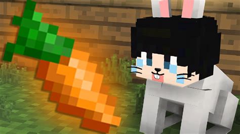 루태 당근을 싫어하는 루태 토끼가 되다 마인크래프트 모드 스토리 리뷰 모어 플레이어 모드 단편 Minecraft More Player Models Mod