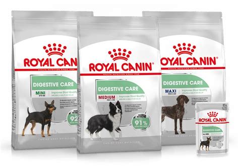 Comida Cuidado Digestivo En El Perro Royal Canin Es