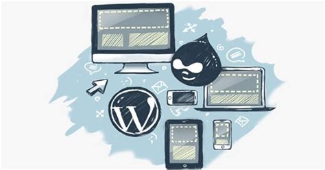 Drupal Vs Wordpress Choosing The Right Cms For Your Needs