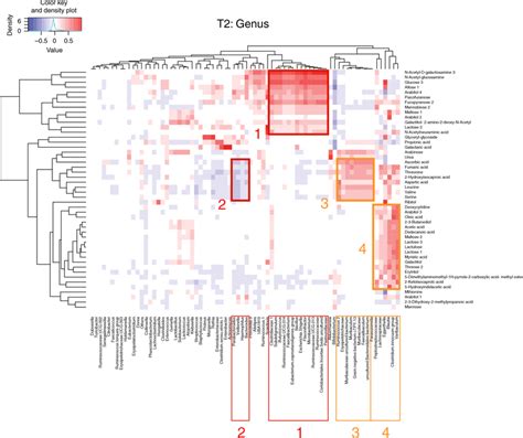 Microbe Metabolite Correlation Heatmap Showing Associations Between Download Scientific Diagram