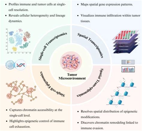 Decoding The Tumor Microenvironment Using Spatial And Single Cell Omics Image Eurekalert