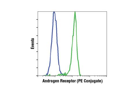 Androgen Receptor D6F11 XP Rabbit MAb PE Conjugate Cell Signaling Technology