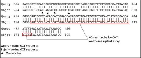 5 Part Of The Nucleotide Sequence Of Oxytocin Coding Sequence For